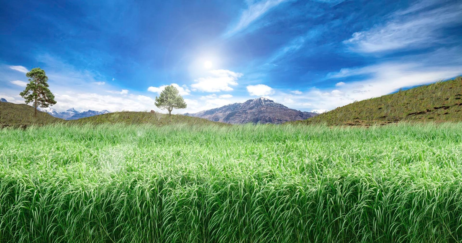 18 POWERFUL PRAYER POINTS TO ACTIVATE THE ANOINTING OF GRACE OVER YOUR ...